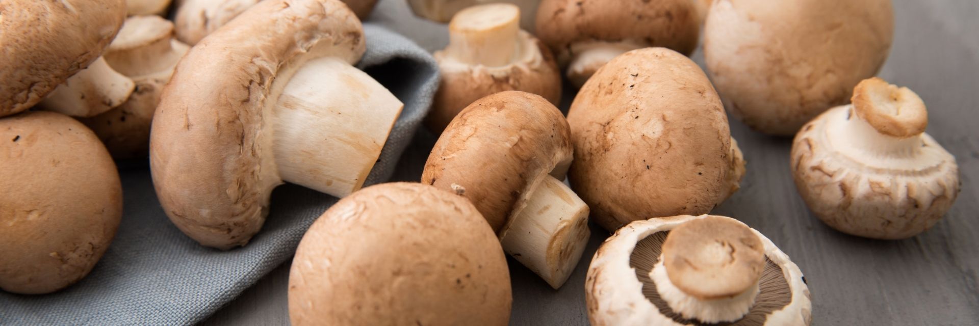 TRUFFLES Archives - Cibosano